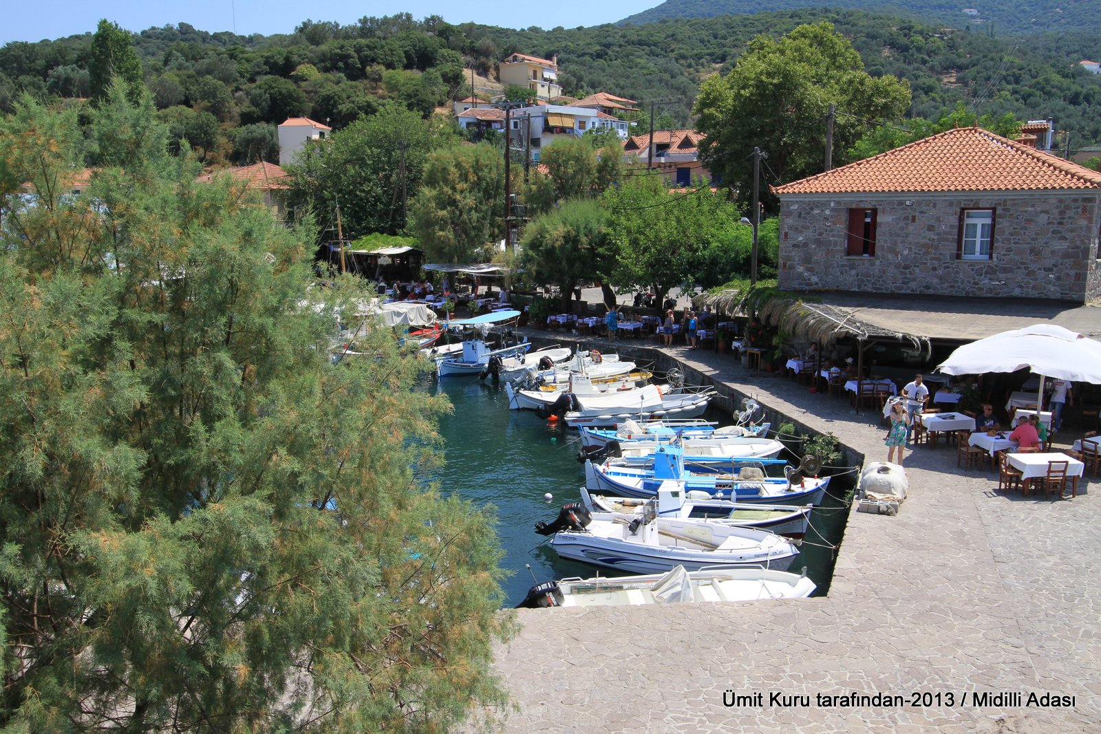 Karşı Sahil; Midilli (Molivos, Skala Sykamineas) | GEZEKALIN